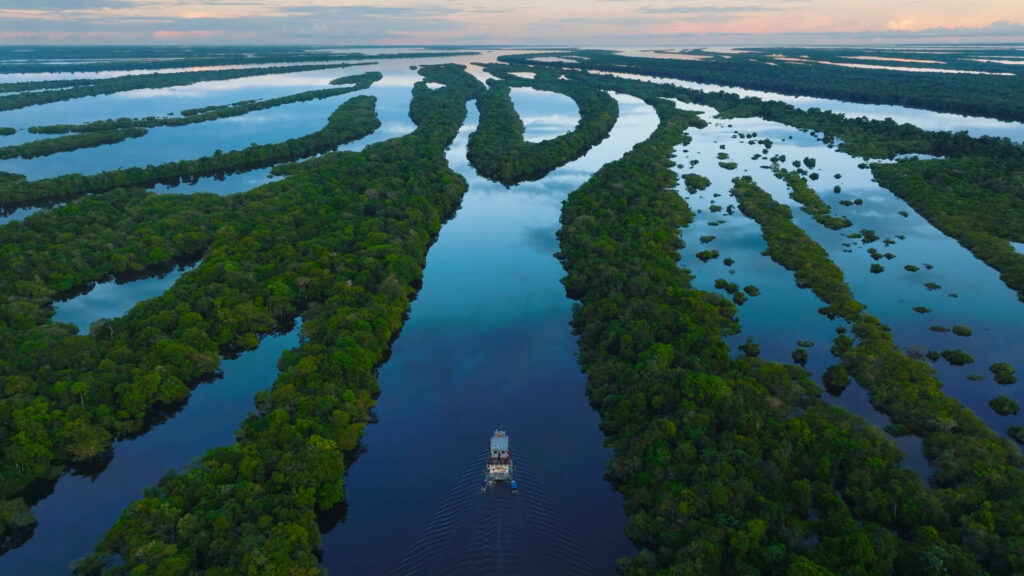 54 Fun Facts About Brazil You Probably Didn't Know (2025 Update ...
