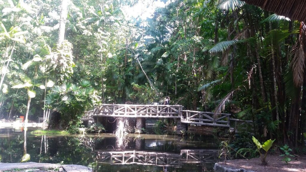 Belem Travel Guide 2025 - Where to Go and What to See - Hurfpostbrasil