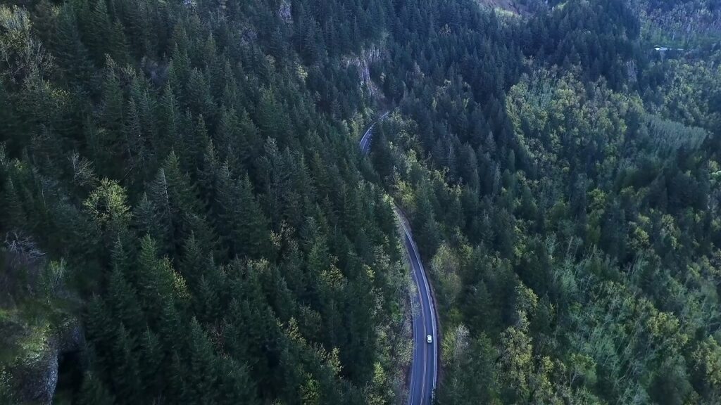 12 Longest Highways in the USA in 2025 and Which One is the Best For a ...