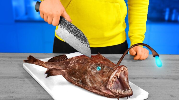 Can You Eat the Anglerfish? The Answer May Shock You - Hurfpostbrasil