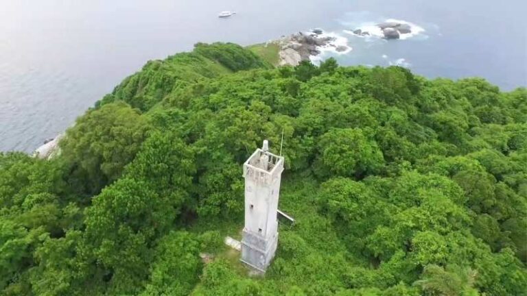 Snake Island Brazil - The Isolated Isle Ruled by Venomous Predators ...
