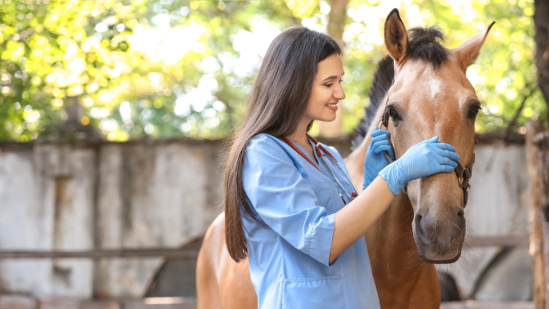 Common Horse Health Problems Owners Deal With Year After Year ...